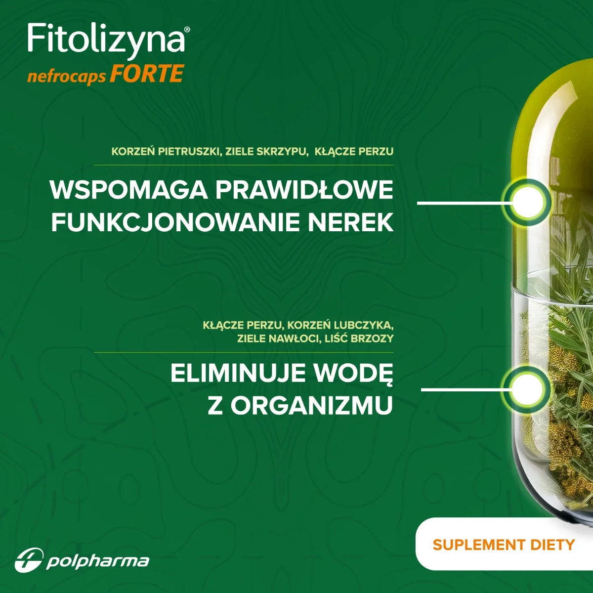 Fitolizyna Nefrocaps Forte, 30 kapsułek – cena, skutki uboczne, ulotka ...