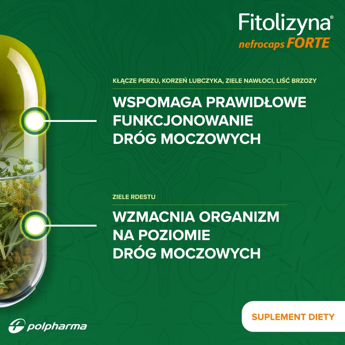 Fitolizyna Nefrocaps Forte, 30 kapsułek – cena, skutki uboczne, ulotka ...