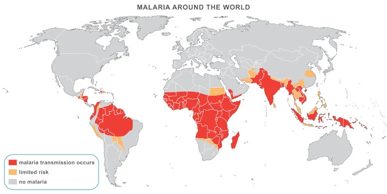 Malaria – jak się objawia i jak jej zapobiegać? | Dr. Max