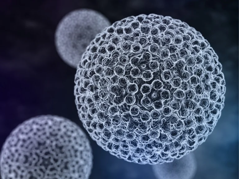 Kłykciny kończyste. Co warto wiedzieć o brodawkach wywołanych HPV ...