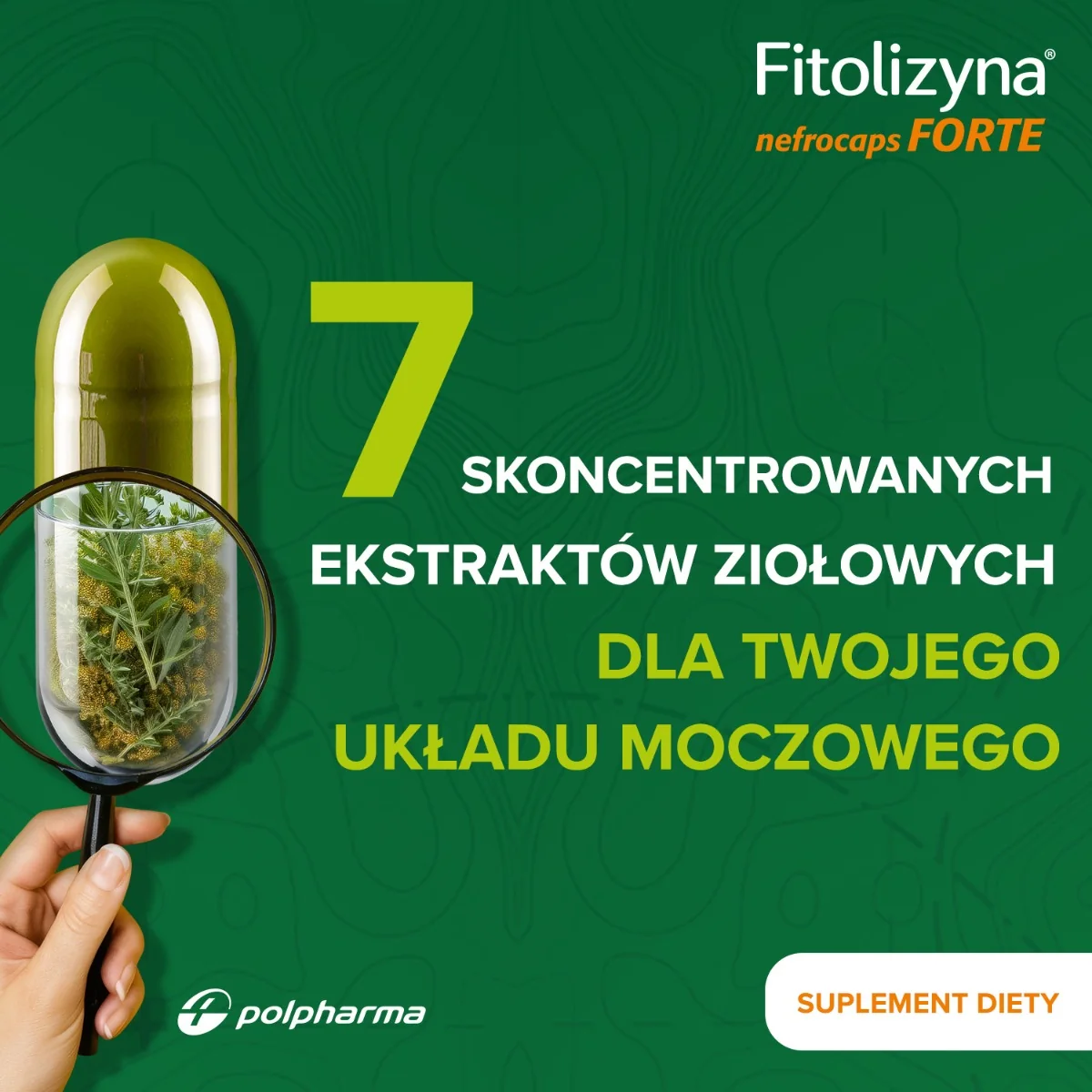 Fitolizyna Nefrocaps Forte, 30 kapsułek – cena, skutki uboczne, ulotka ...
